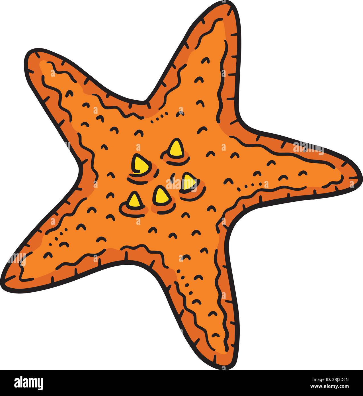 Colorful Starfish Clipart Illustrations