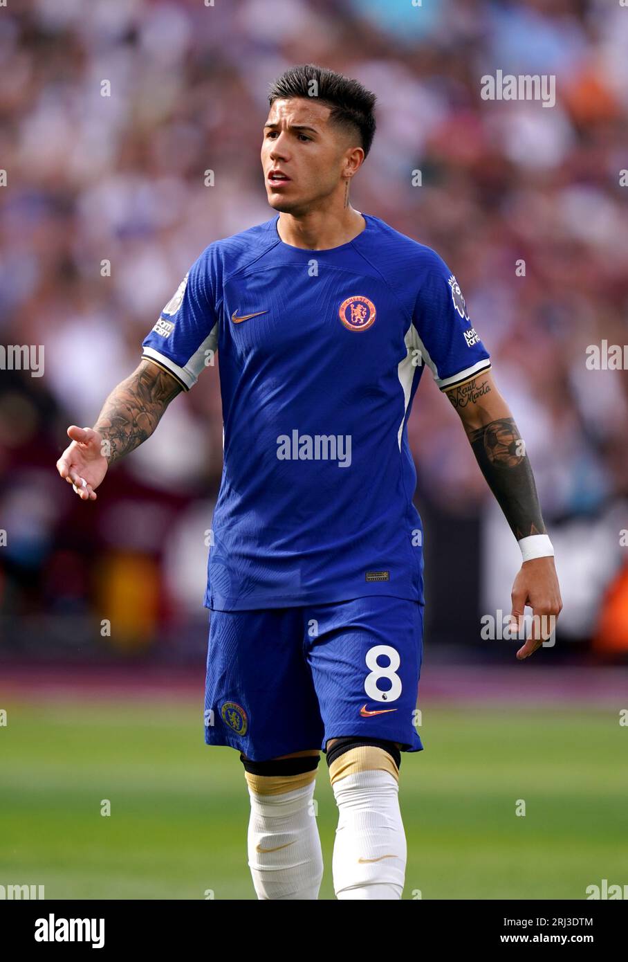 Enzo 20 august 2023 hi-res stock photography and images - Alamy