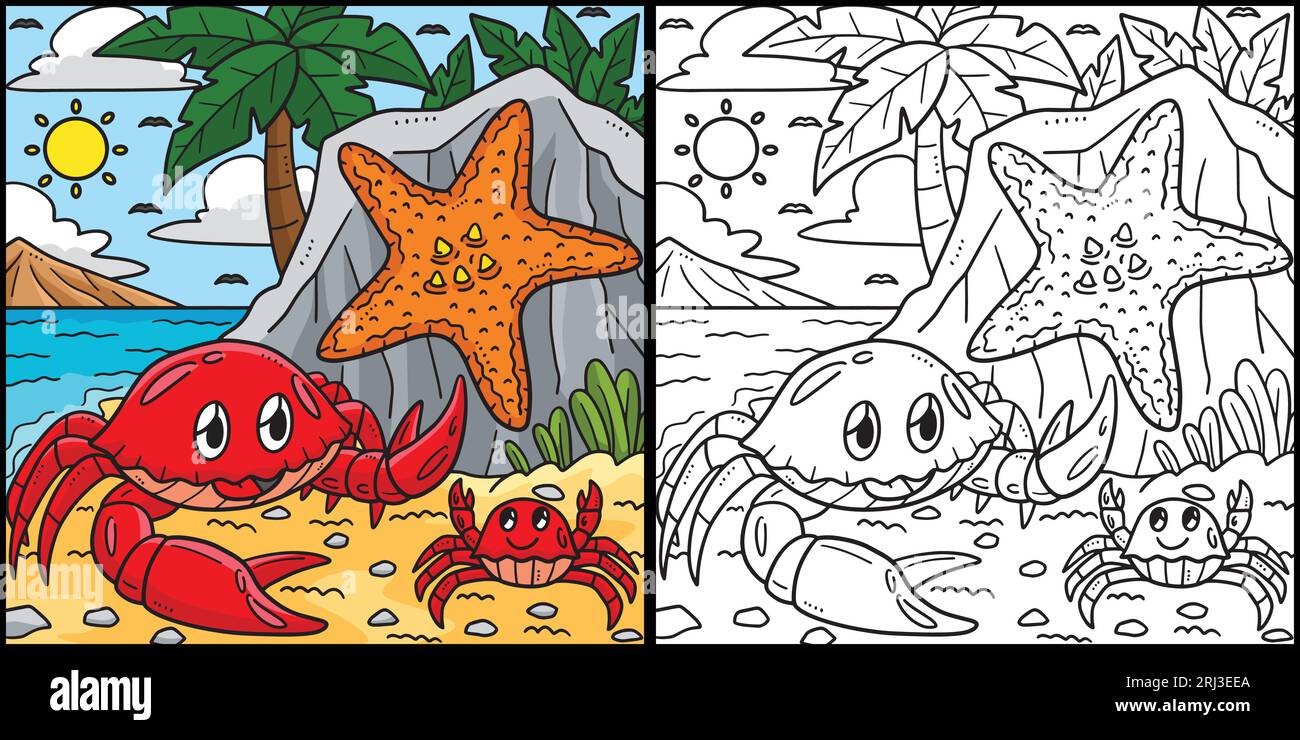 Summer Crabs and Starfish on Shore Illustration Stock Vector Image ...