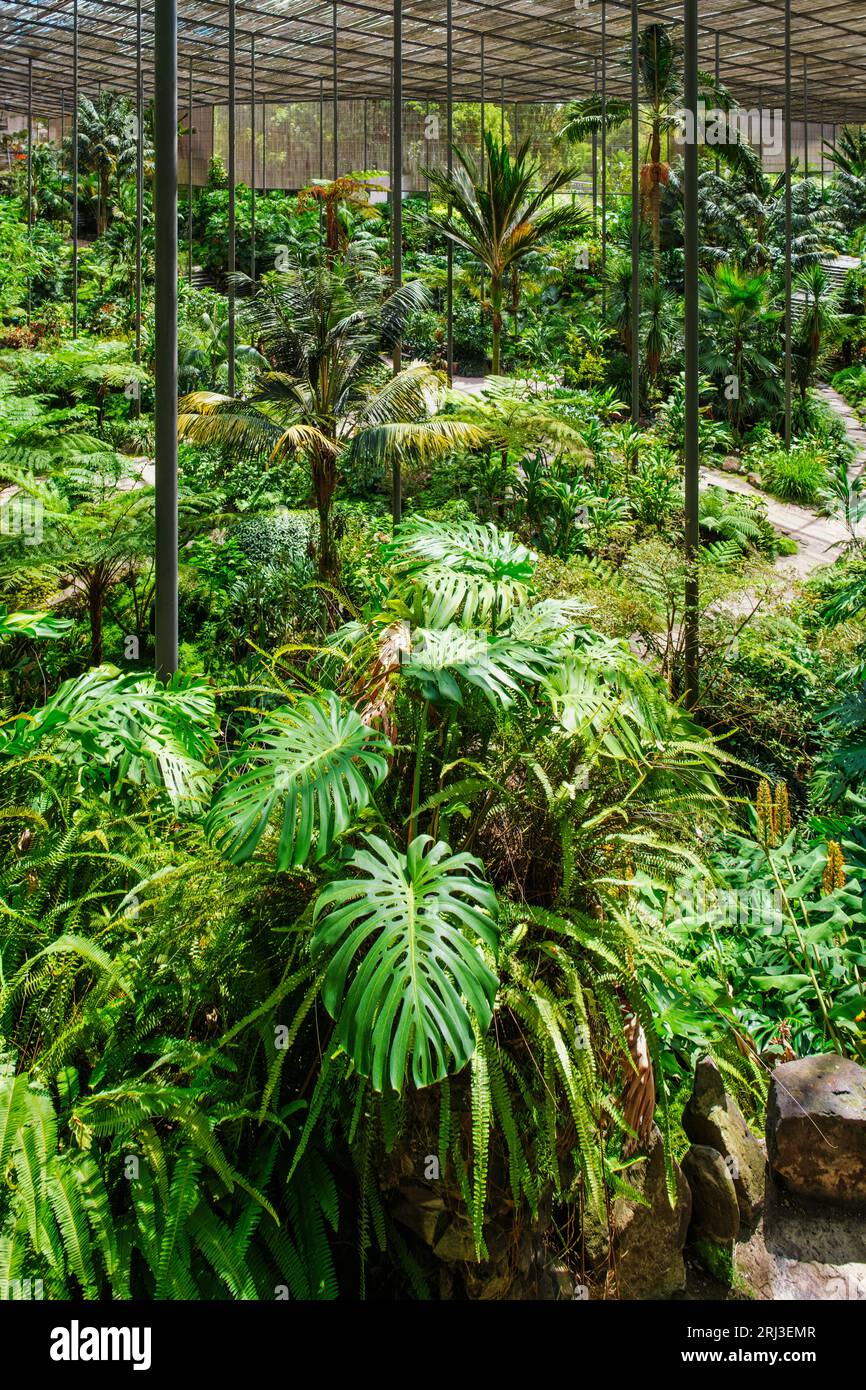 The cold house Estufa Fria is a greenhouse with gardens, ponds, plants ...