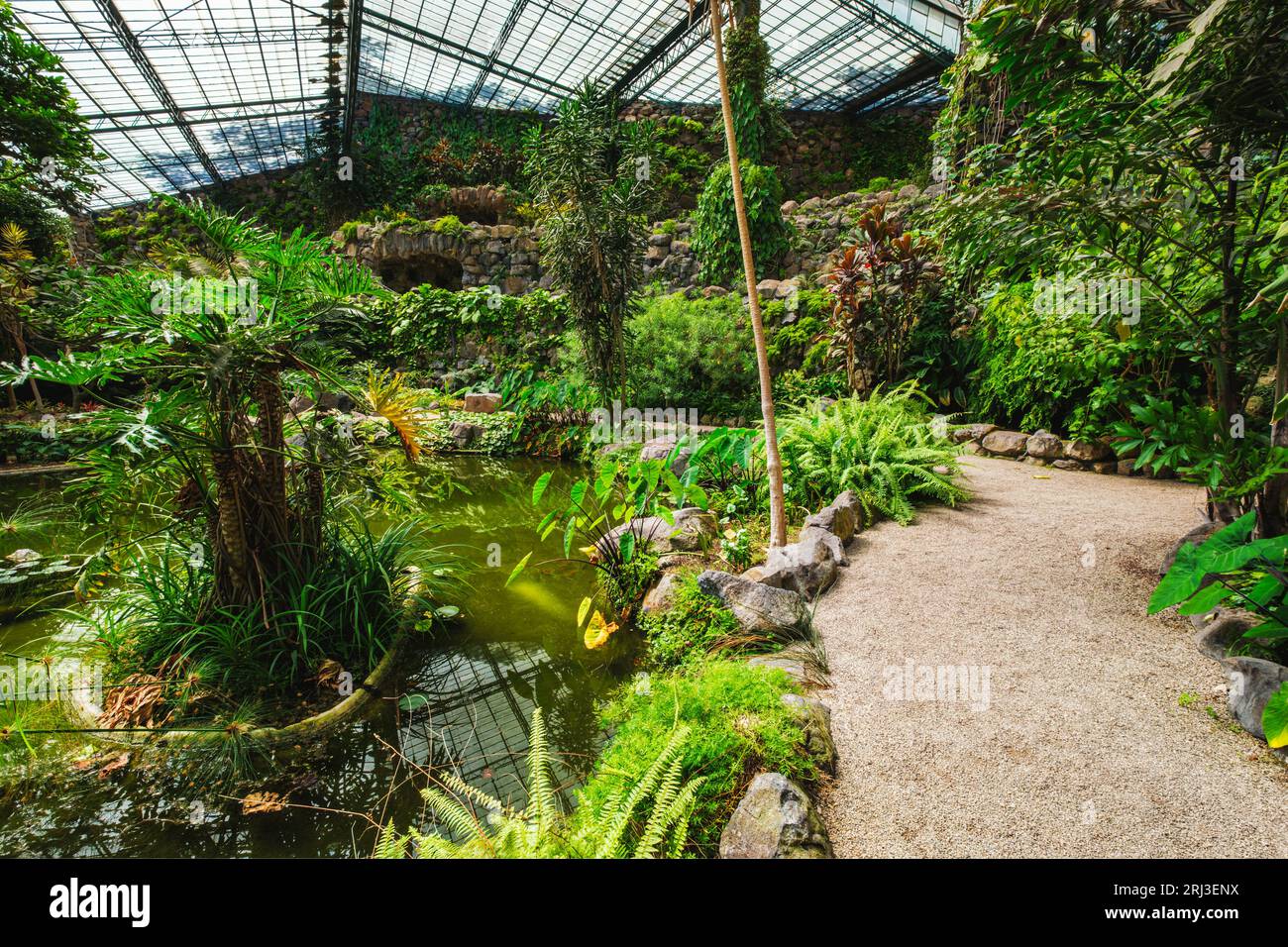 The estufa fria hi-res stock photography and images - Alamy