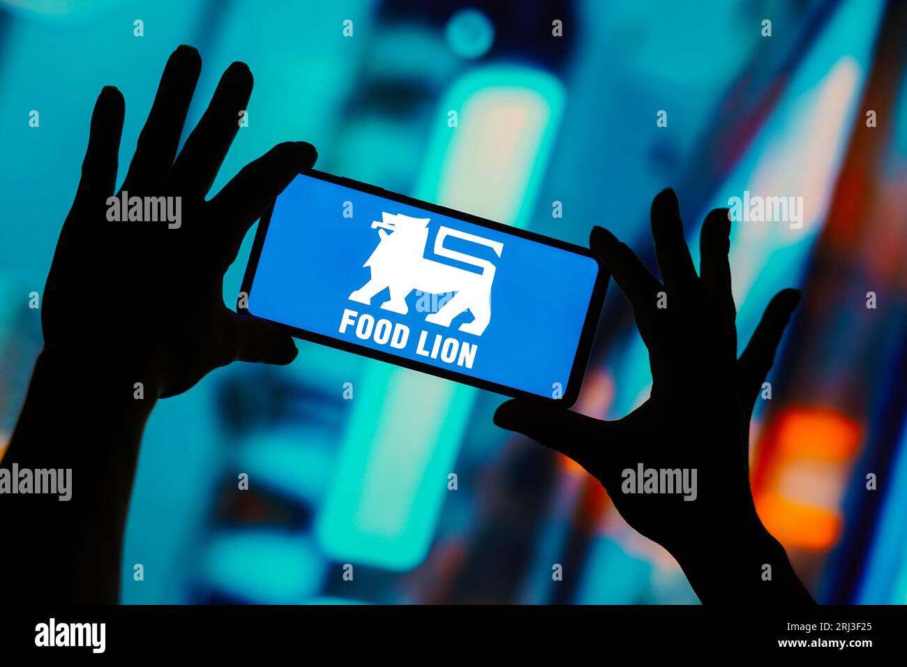 Food lion logo hi-res stock photography and images - Alamy