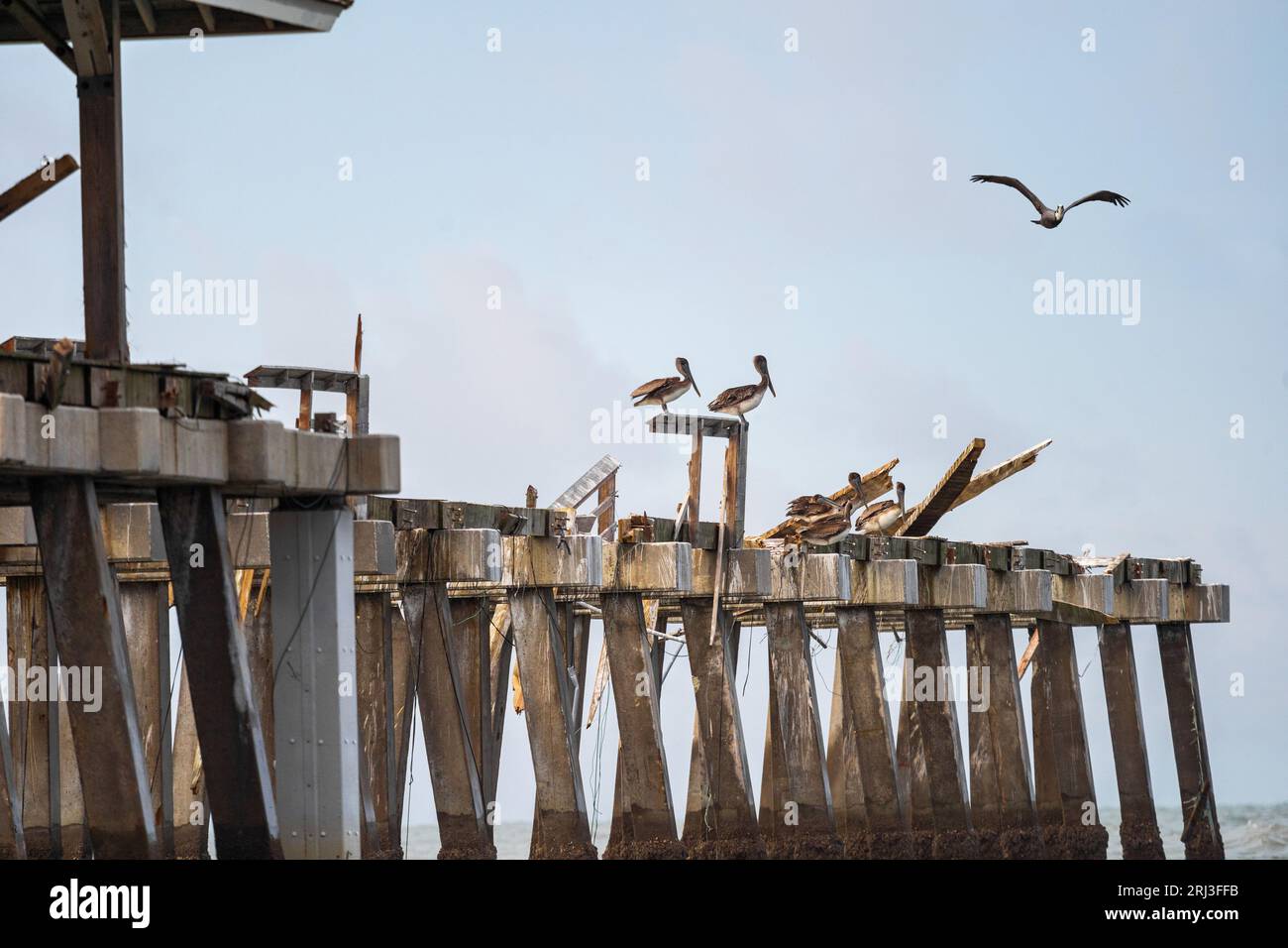 Destroyed naples pier hi-res stock photography and images - Alamy