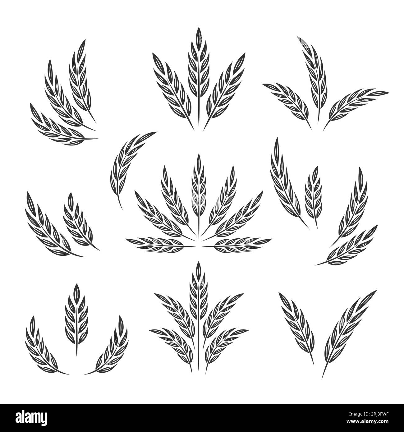 Flat Vector Agriculture Wheat Icon Set Isolated, Organic Wheat, Rice ...