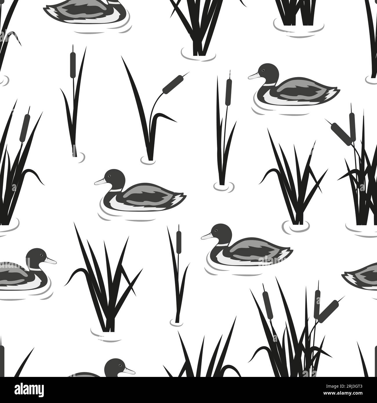 Decorative reeds Stock Vector Images - Alamy