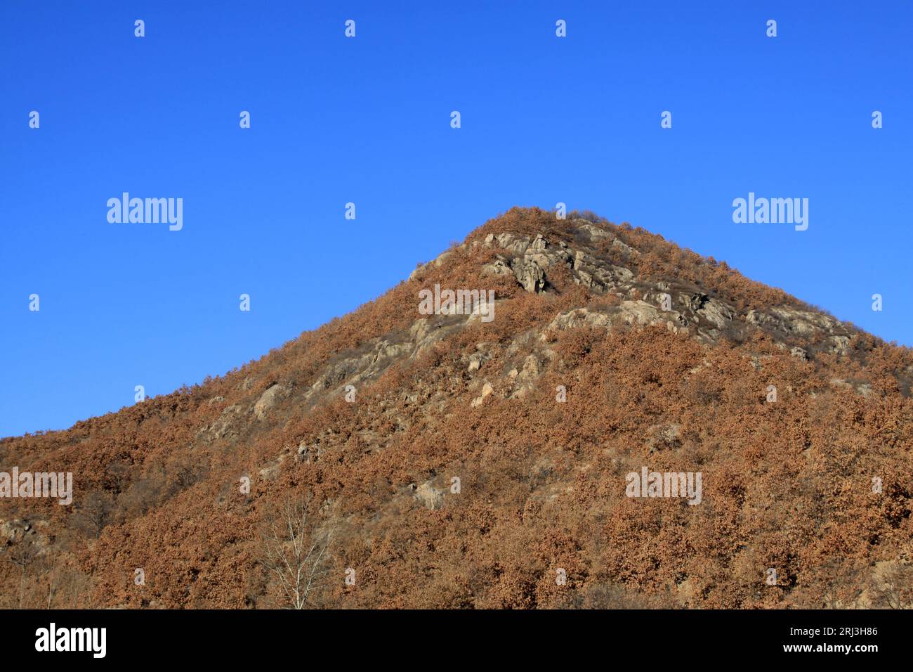 Areas geological landscape hi-res stock photography and images - Alamy