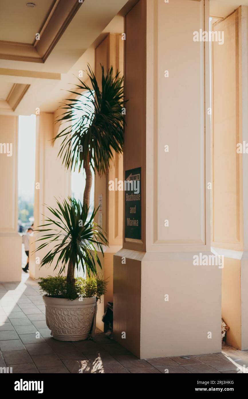 A modern urban building with vibrant green foliage surrounding its ...