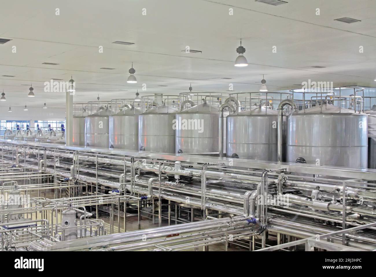 dairy processing production line in a factory, Luannan County, Hebei ...