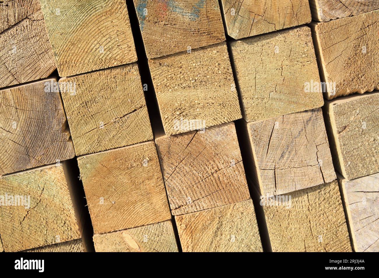 batten cross section in a market, north china Stock Photo - Alamy