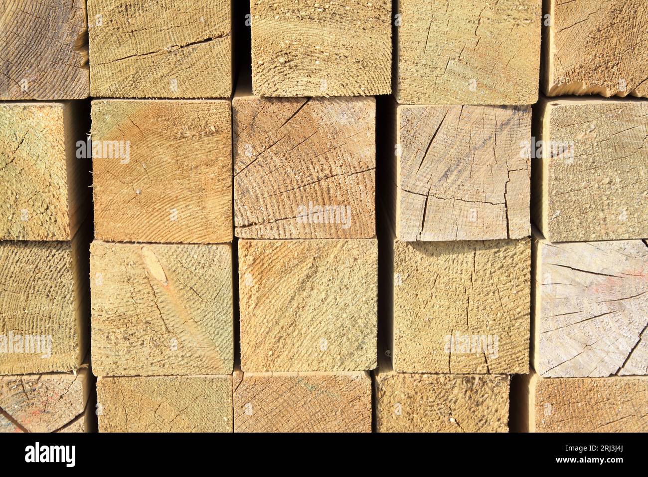 batten cross section in a market, north china Stock Photo - Alamy