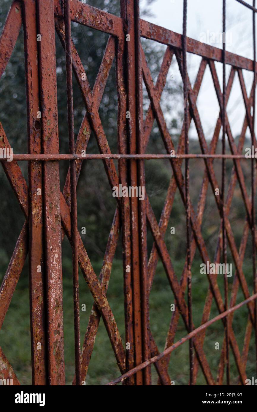 An aged, rusty red iron fence with a patina of age, standing in a field ...