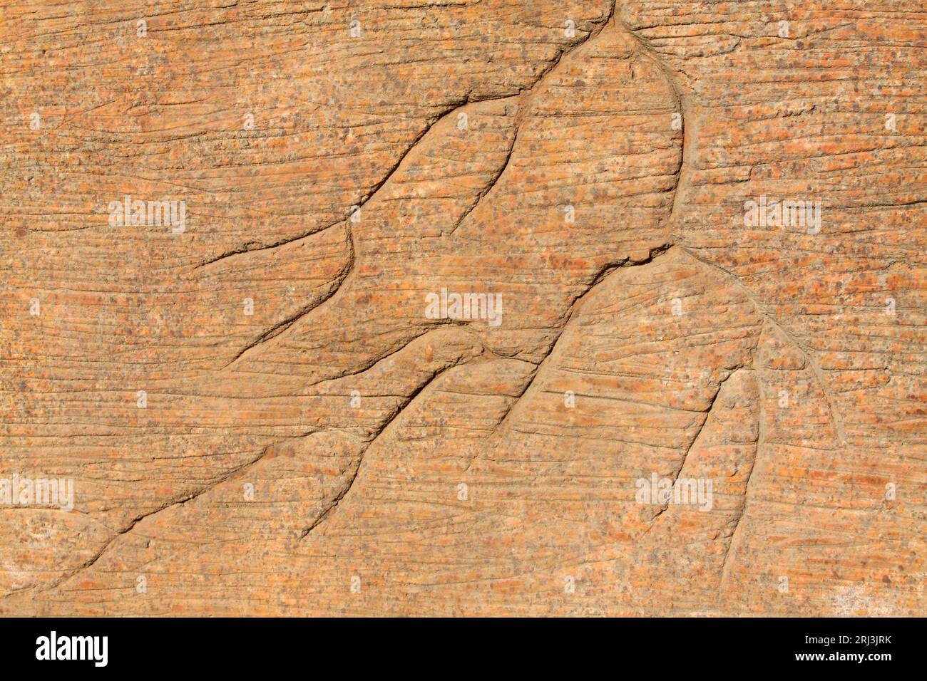 Lightning shape hi-res stock photography and images - Alamy