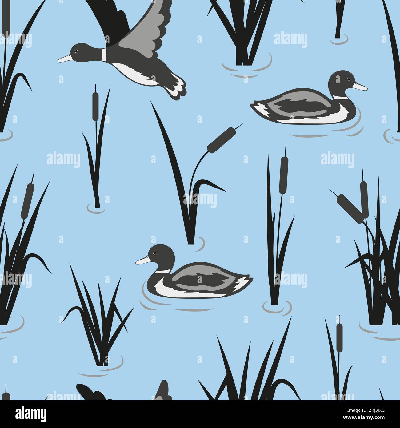 Seamless pond pattern with reeds and ducks. Vector water background ...