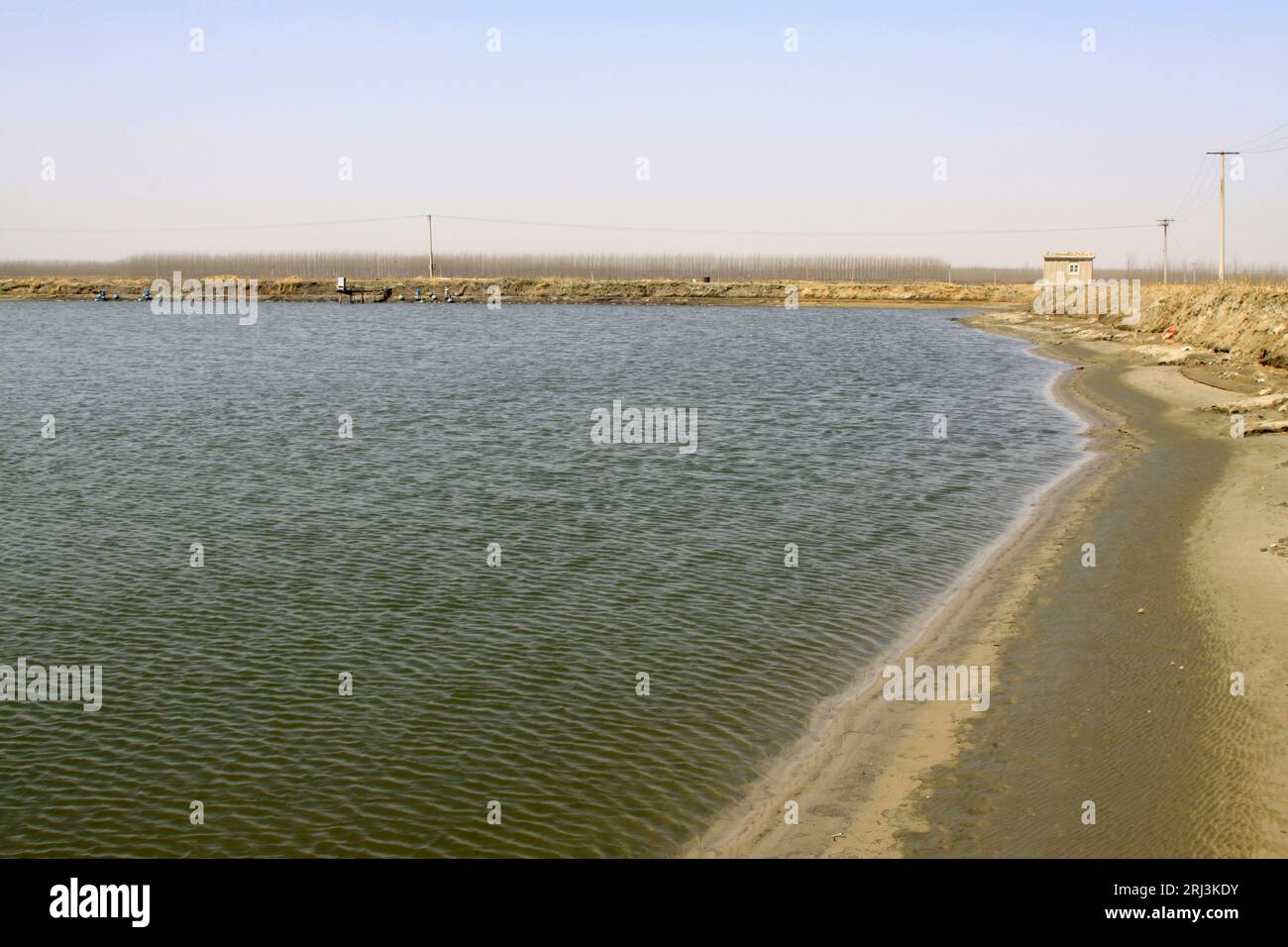 pond scenery in the rural areas, China Stock Photo - Alamy