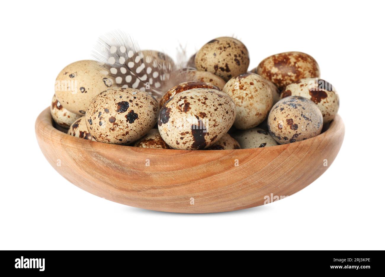 Bowl with speckled quail eggs and feathers isolated on white Stock ...
