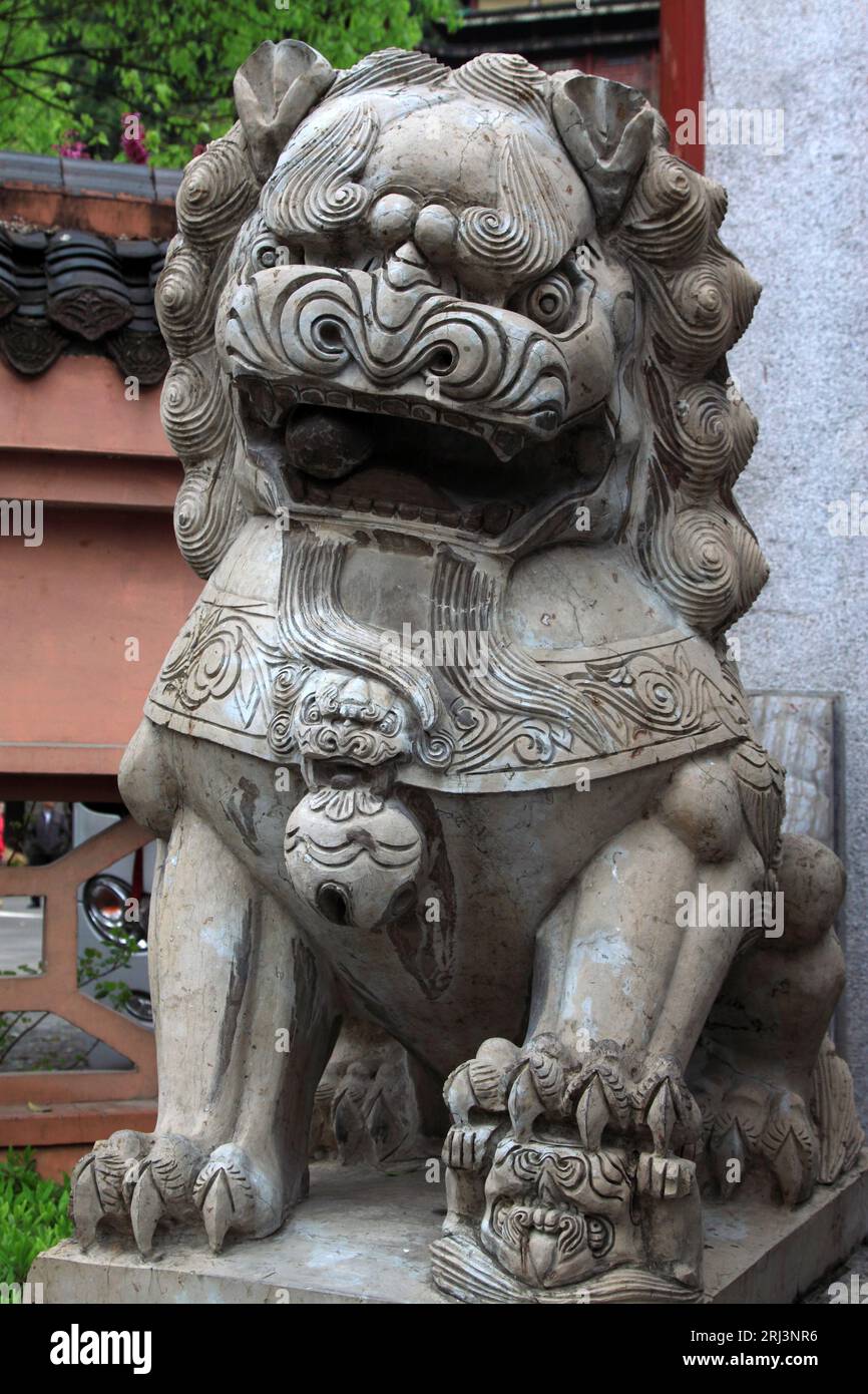 Gray lion hi-res stock photography and images - Alamy