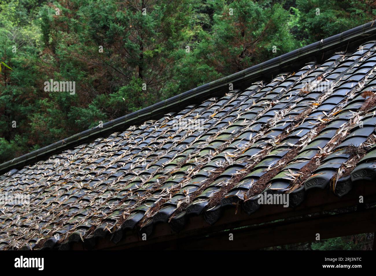 Nostalgic tile and roof in a mountainous area, South China Stock Photo ...