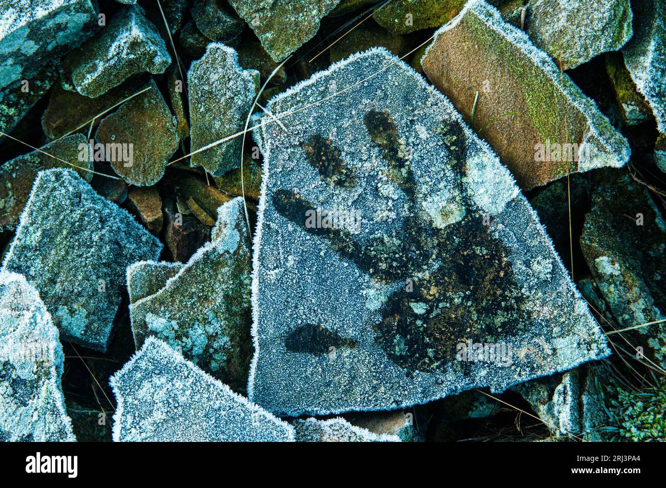A scenic winter landscape featuring frost-covered rock with a handprint ...