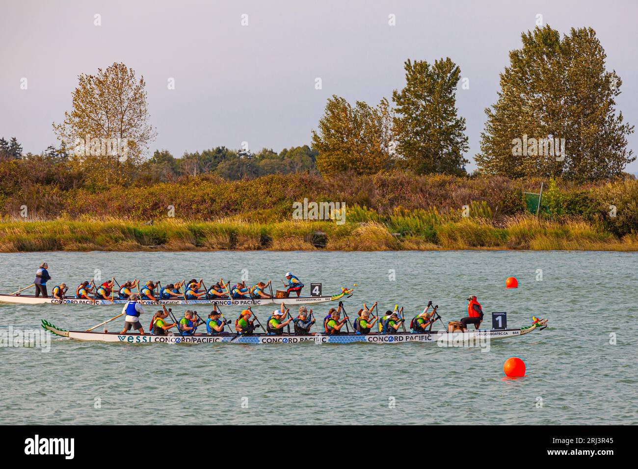 Racing teams in the Richmond Dragon Boat Festival British Columbia ...