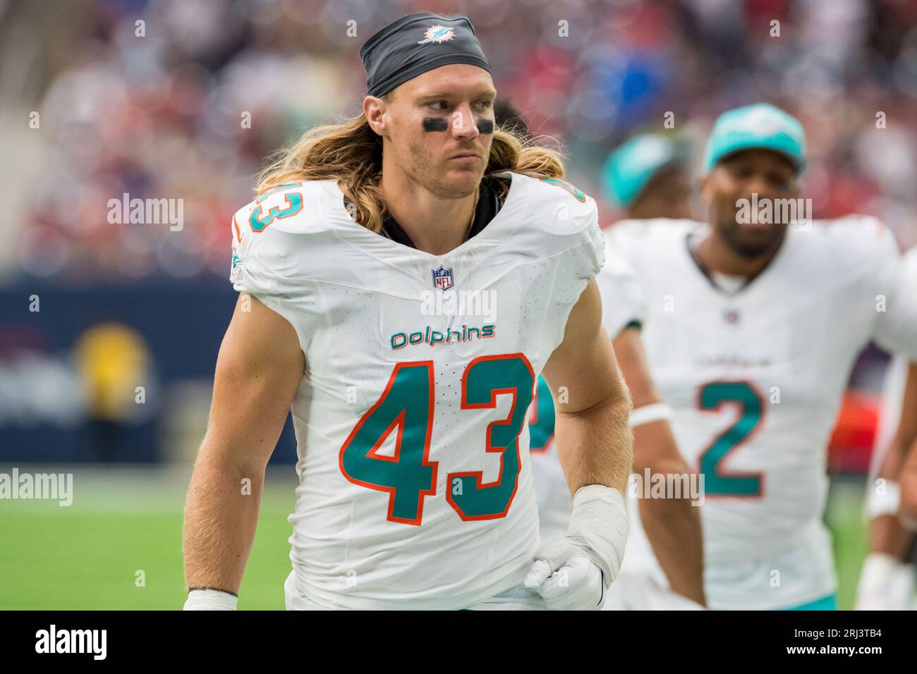 Andrew van ginkel dolphins hi-res stock photography and images - Alamy