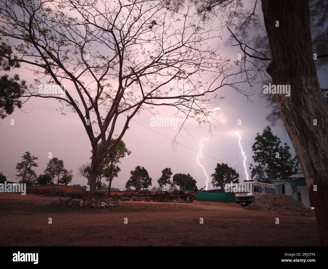 A majestic tree silhouetted against a dark night sky illuminated by a ...