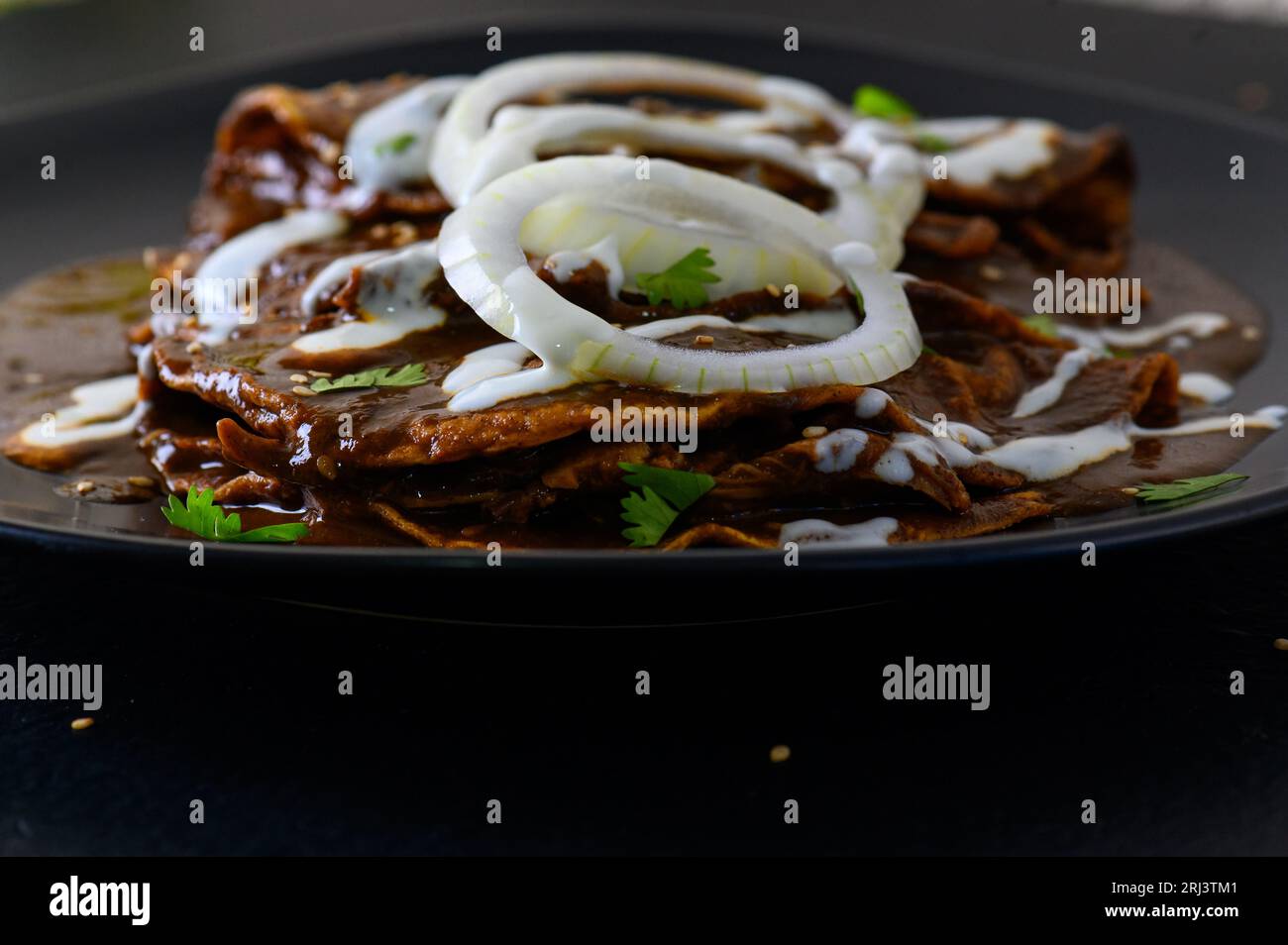 Enmoladas. Mexican Cuisine. Chicken Enchiladas Cooked in Mole Poblano ...