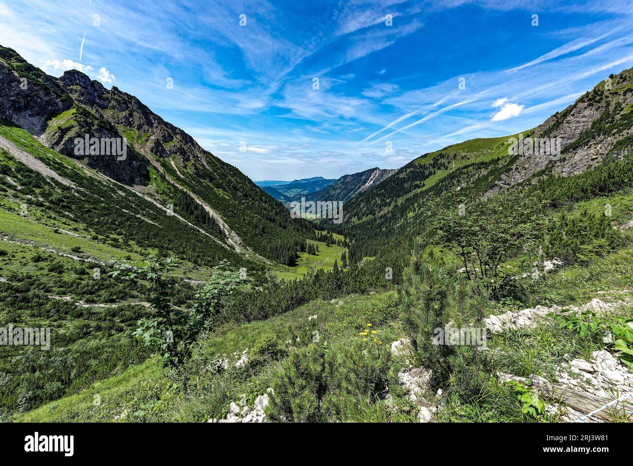 Pilze bayern hi-res stock photography and images - Alamy