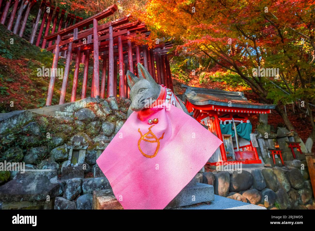 Saga, Japan - Nov 28 2022: Yutoku Inari shrine in Kashima City, Saga ...