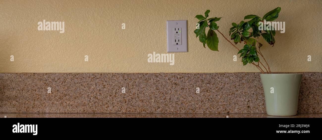 A plant pot in front of a beige wall with an electrical outlet Stock ...