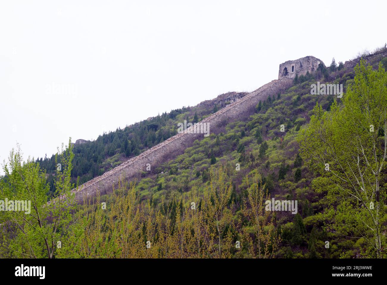 Original ecological culture hi-res stock photography and images - Alamy