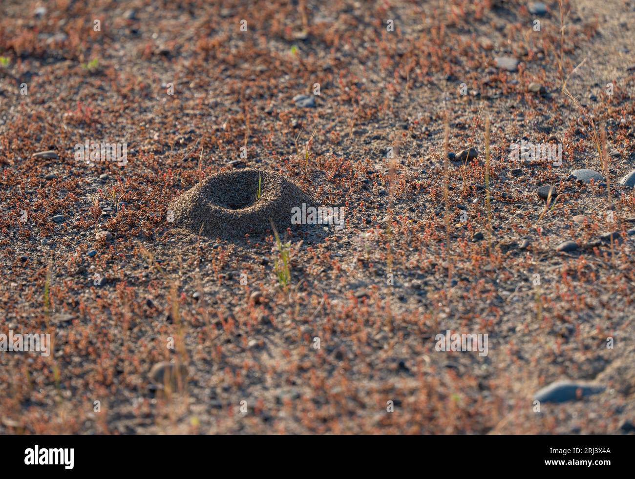 The mole hole hi-res stock photography and images - Alamy