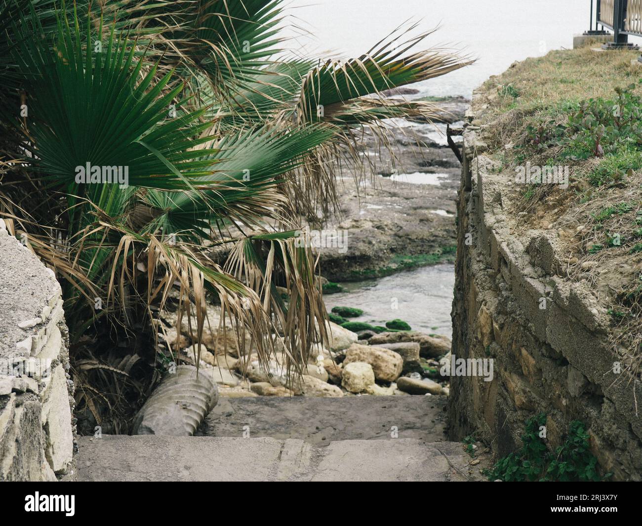 A scenic shot of a beach with a winding set of steps leading down to ...