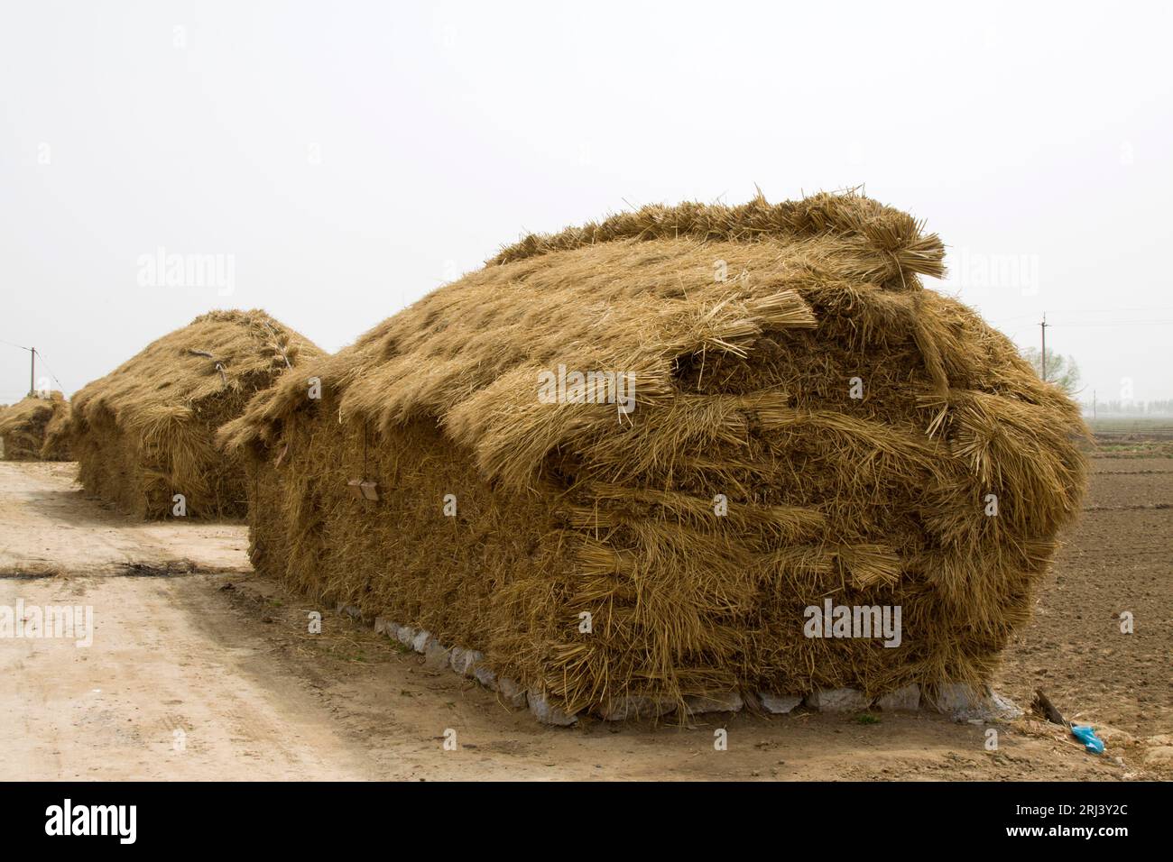 Piles of straw hi-res stock photography and images - Alamy