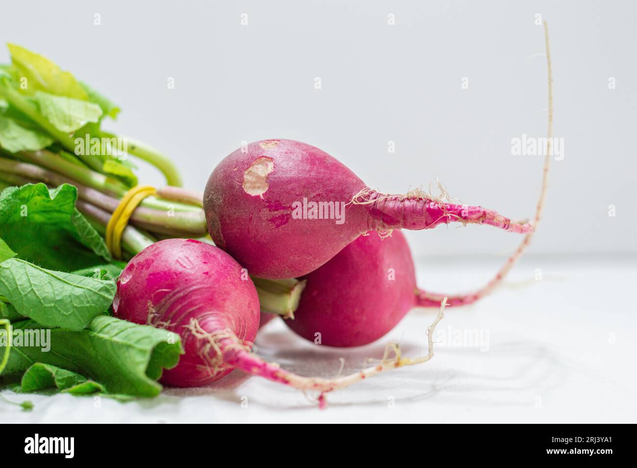 Green radish stems hi-res stock photography and images - Alamy