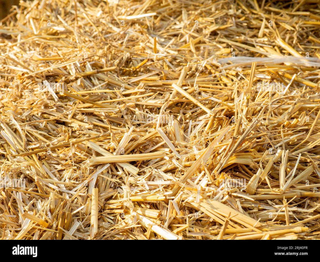 Hay background. Straw blocks. Heap of dry grass. Animal food. Hayloft ...