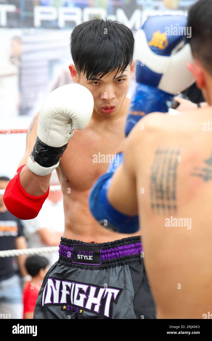 Gifted fight academy hi-res stock photography and images - Alamy