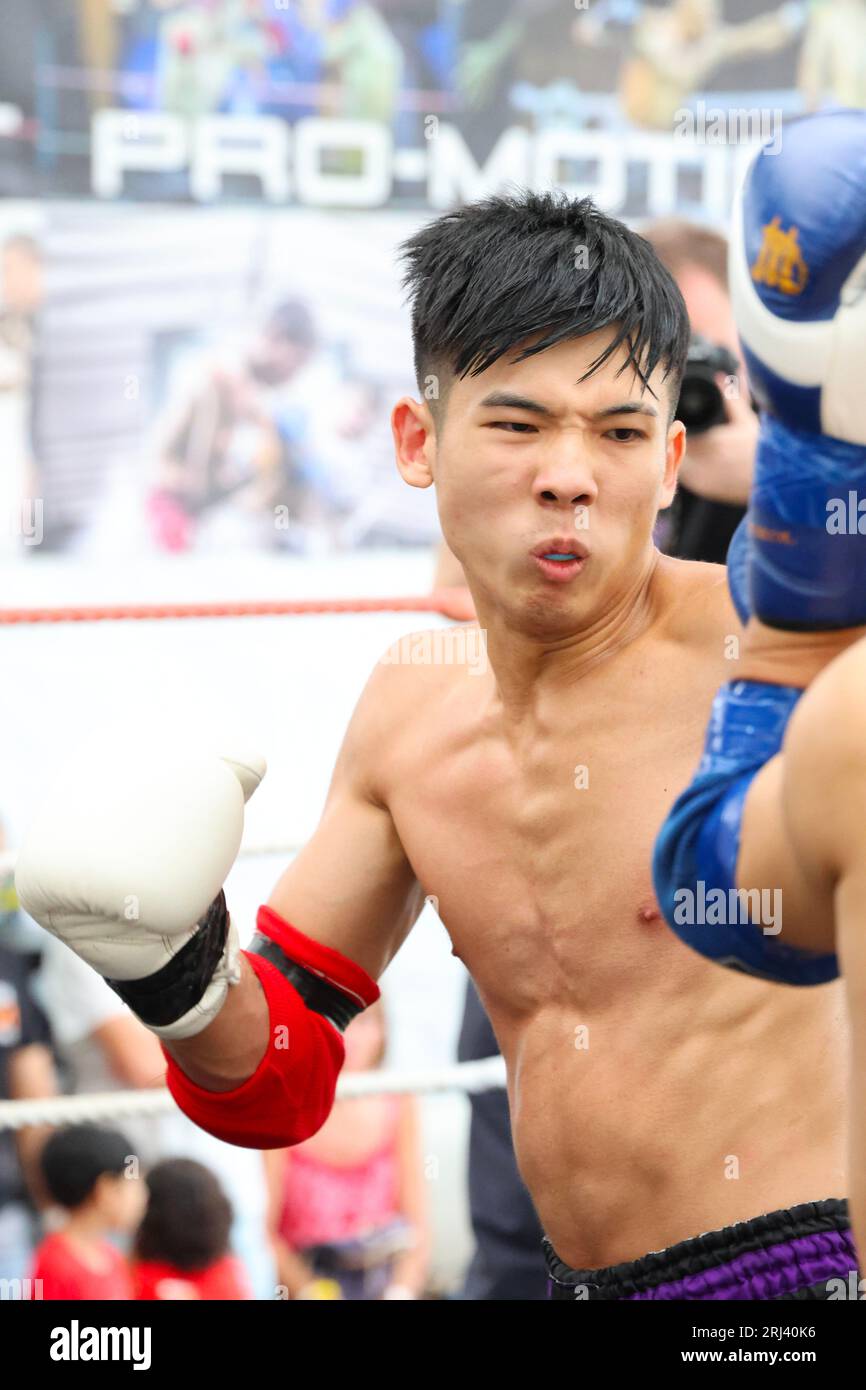 Gifted fight academy hi-res stock photography and images - Alamy