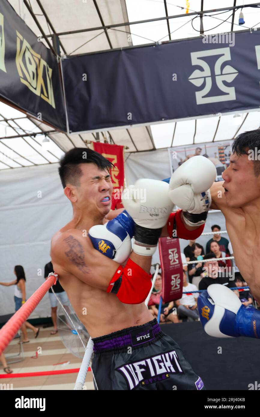 Gifted fight academy hi-res stock photography and images - Alamy