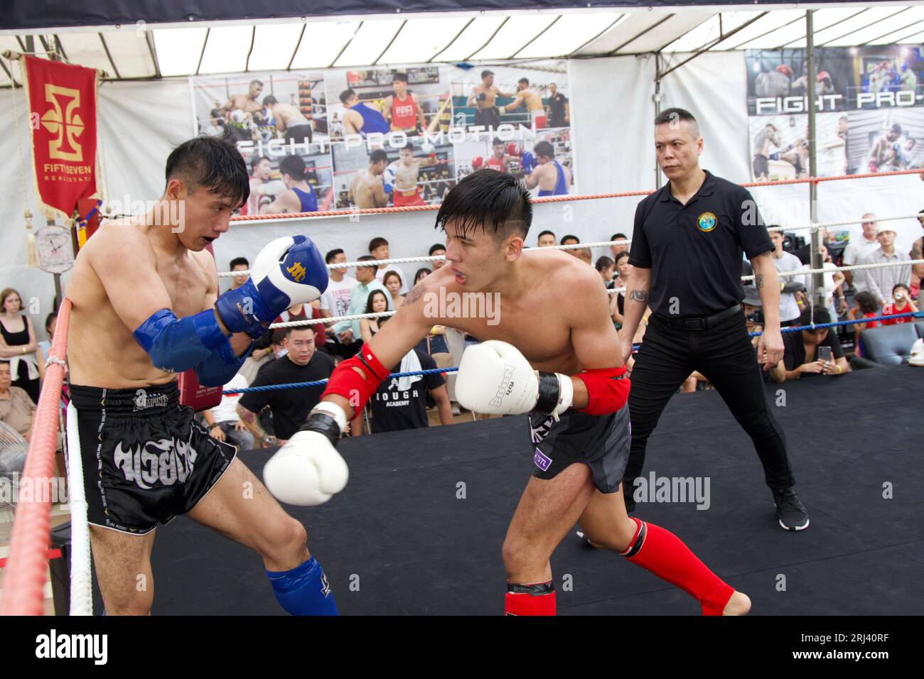 Gifted fight academy hi-res stock photography and images - Alamy