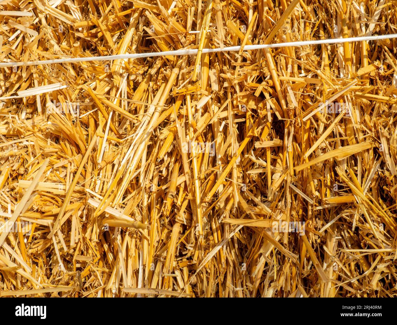Hay background. Straw blocks. Heap of dry grass. Animal food. Hayloft ...