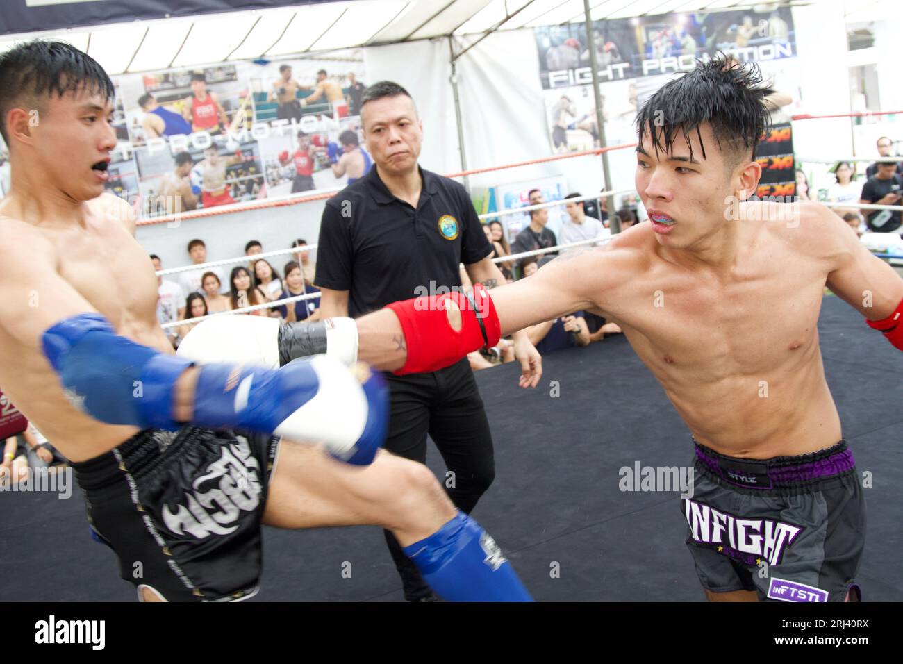 Gifted fight academy hi-res stock photography and images - Alamy