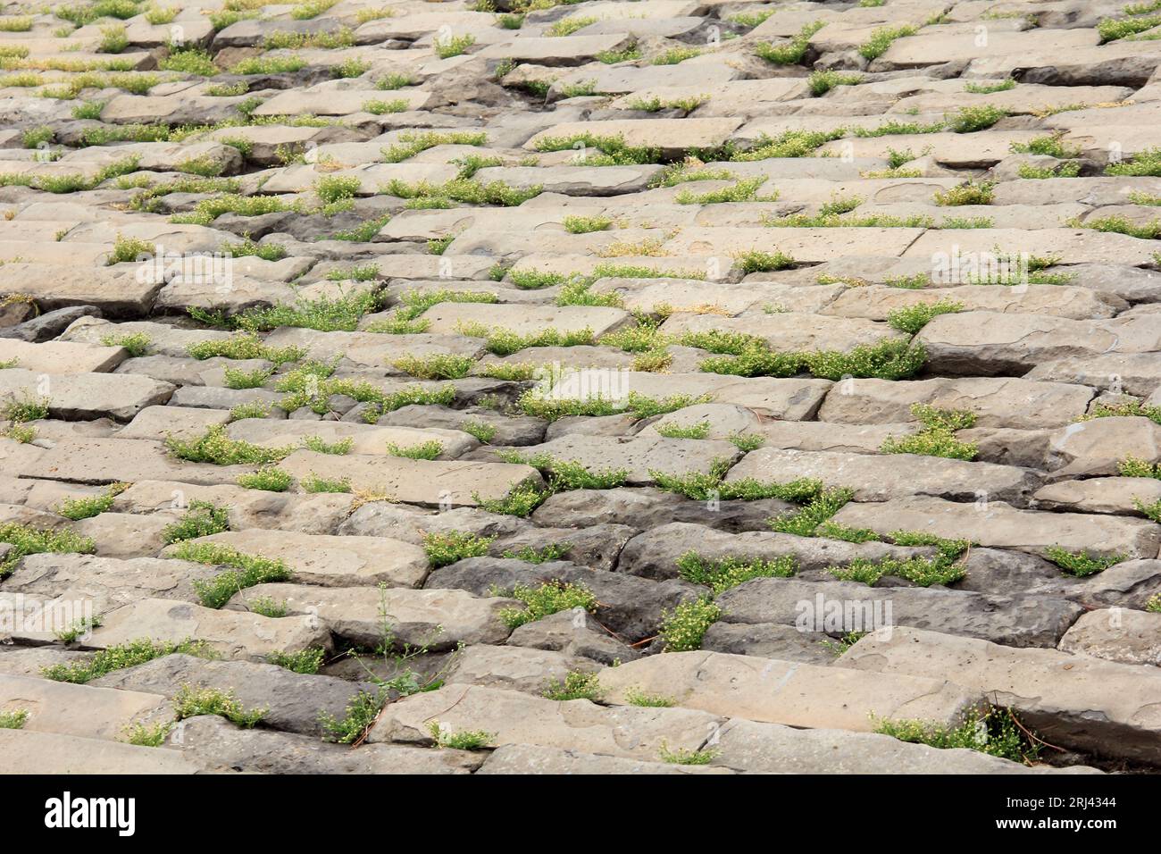 brick paved ground ancient chinese architecture Stock Photo - Alamy