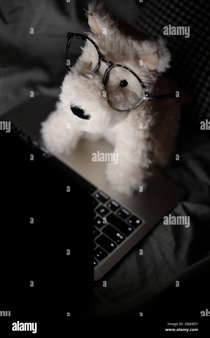 A dog stuffed animal wearing glasses while working on the computer ...