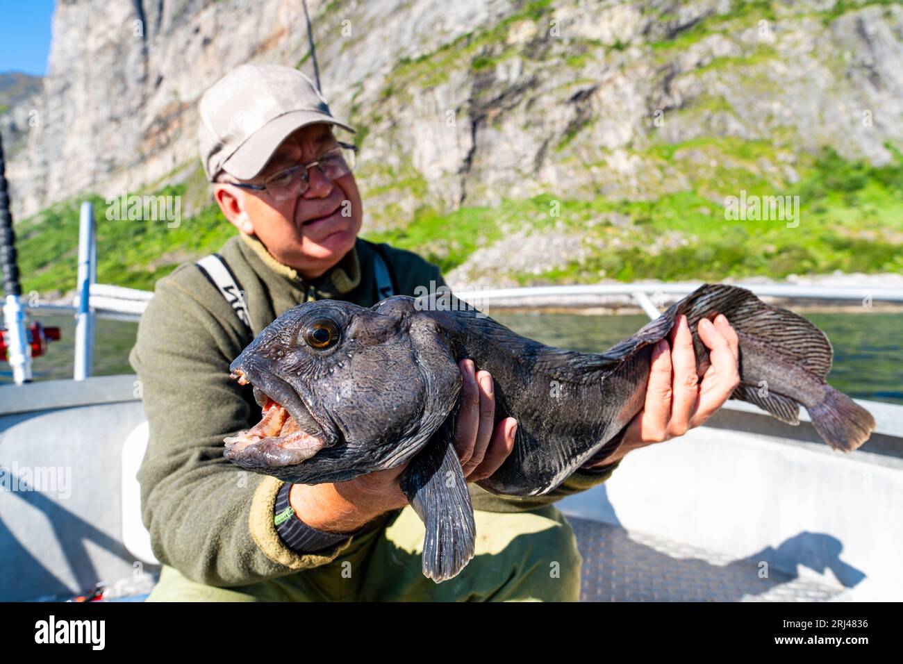 Fisherman with big wolffish near Lofoten, Senija, Alta Norway. Man ...