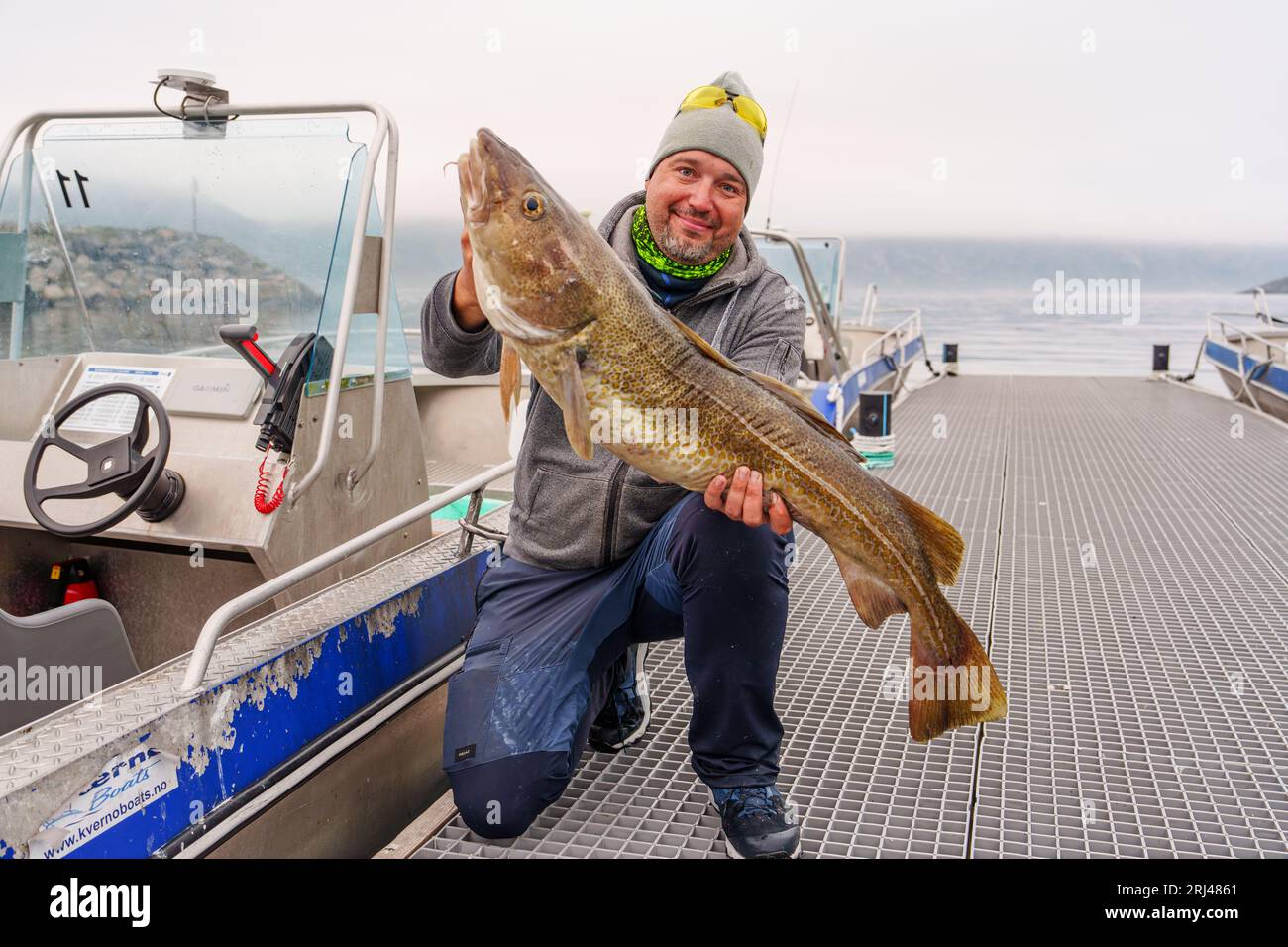 Fisherman with big cod fish. Norwegian fisherman has caught large Cod ...
