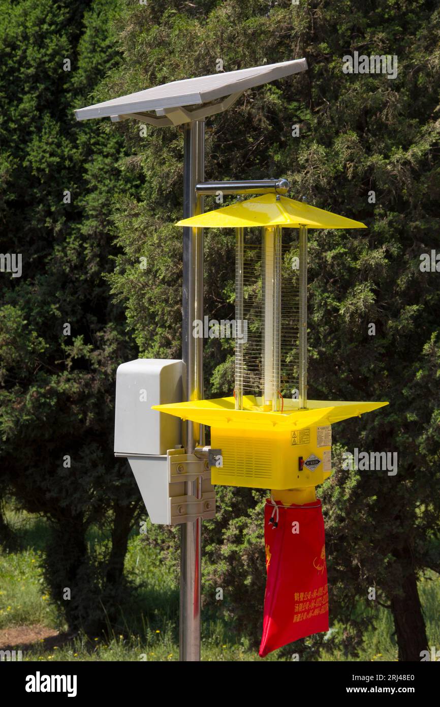 Pest killing lamp in a botanical garden in north china Stock Photo - Alamy
