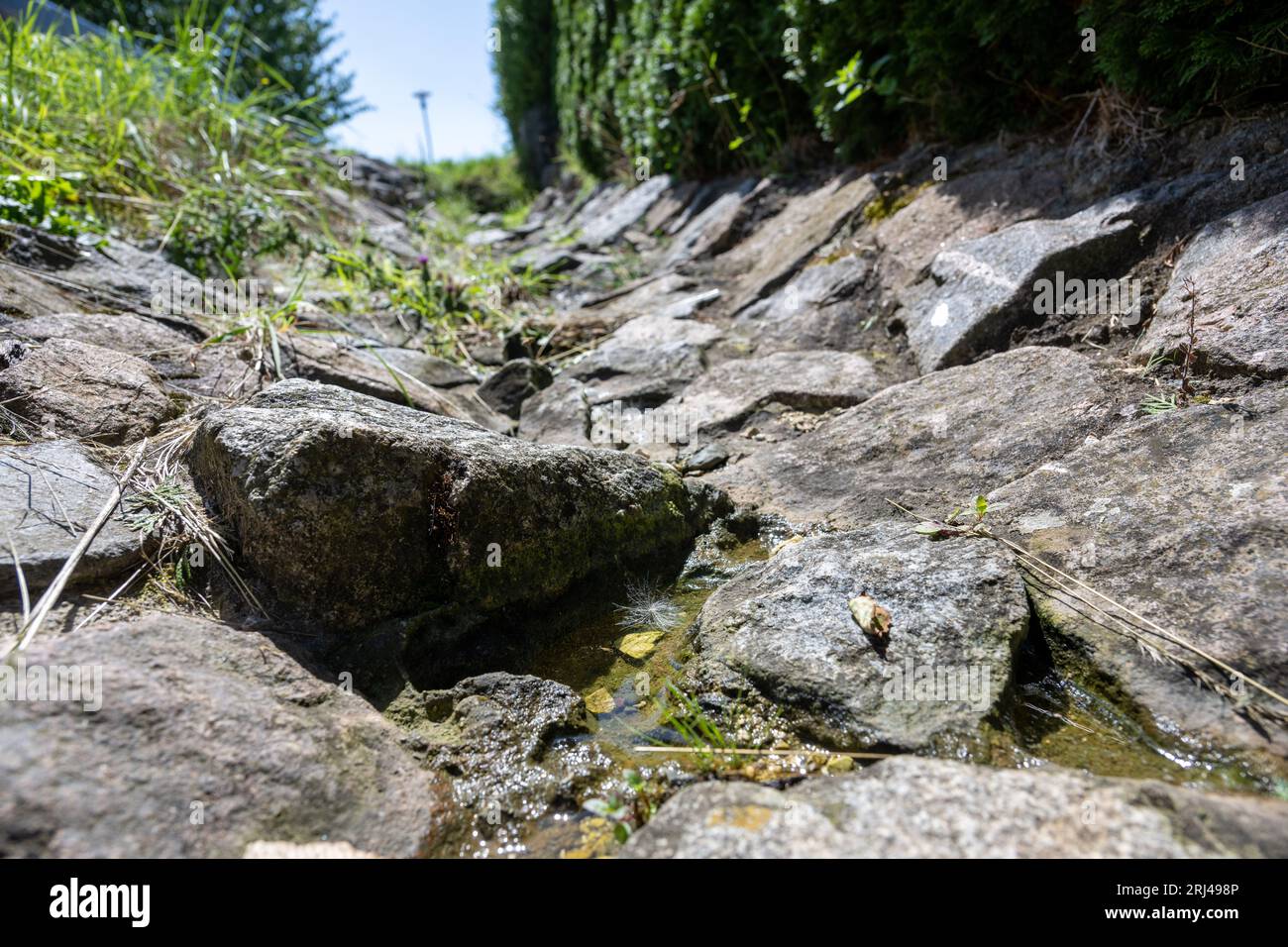Rain seep ground hi-res stock photography and images - Alamy