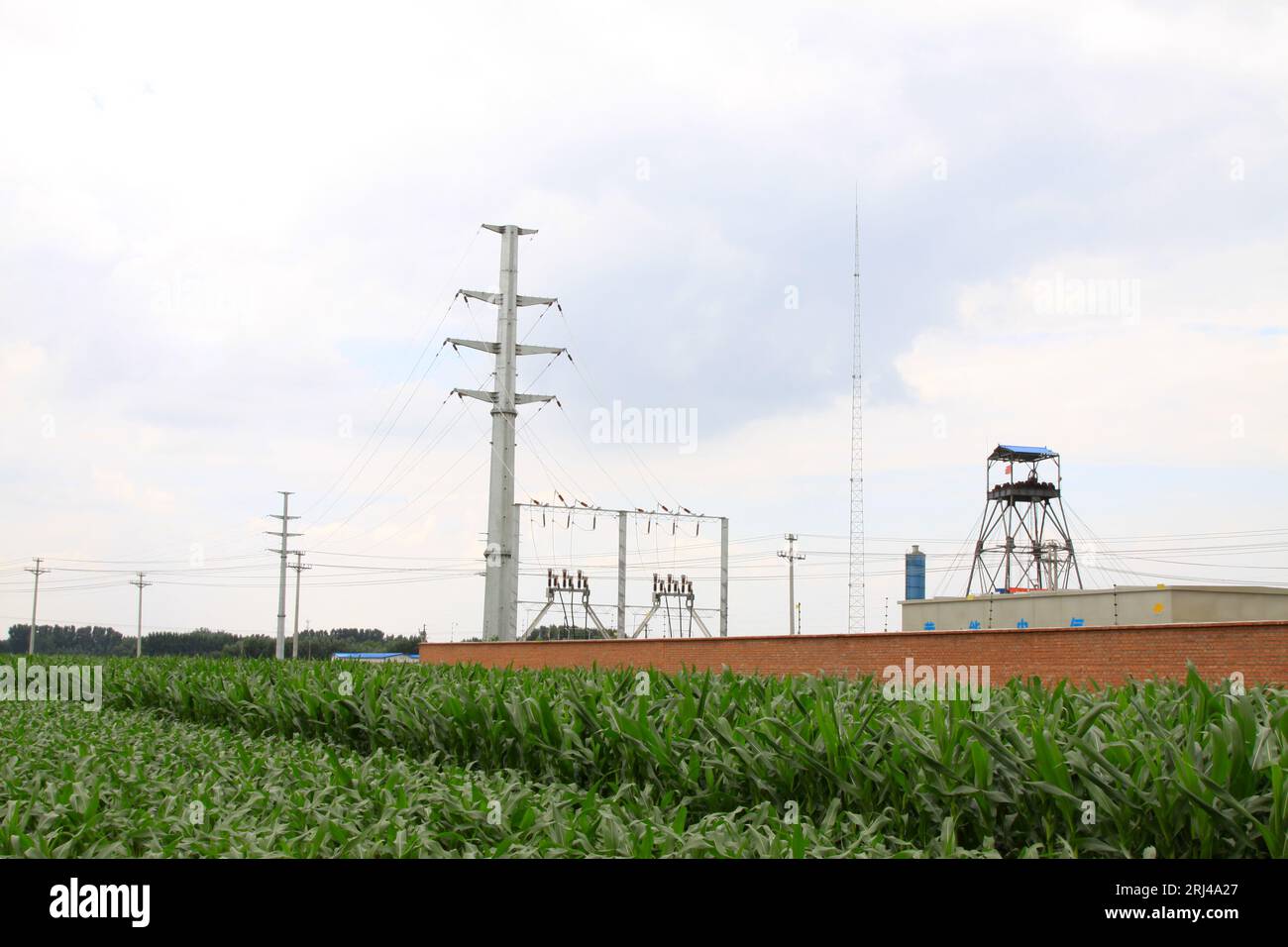 MaCheng July 12: High voltage power transmission lines in the green ...