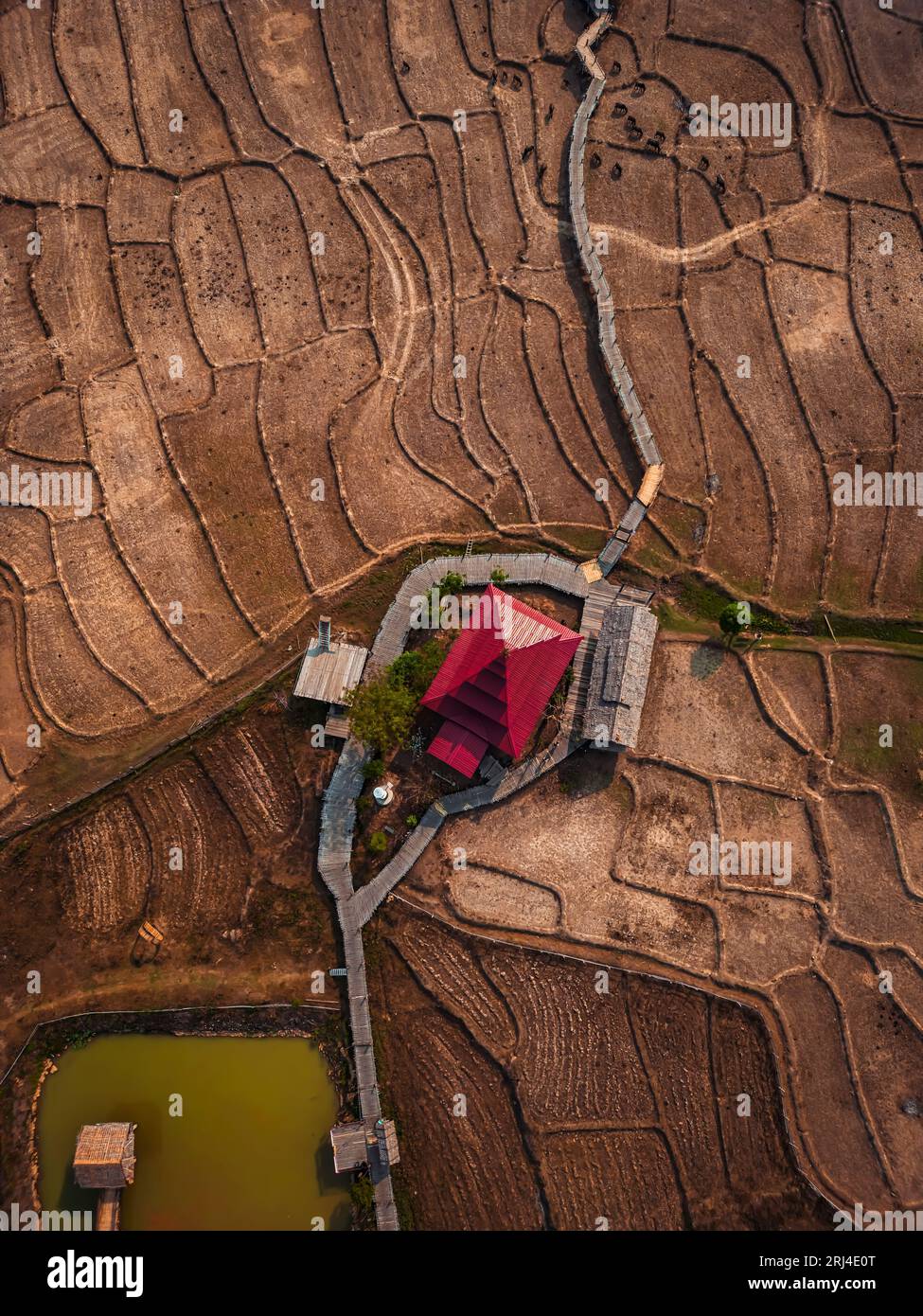 An aerial view of a long Bamboo bridge and red barns dotting the ...