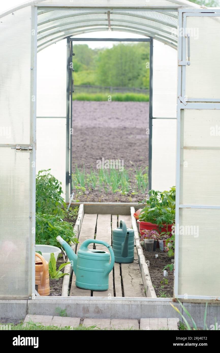 equipment for growing vegetables in a greenhouse. Tools for working in ...